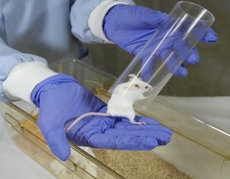 Rodent Handling - The 3Rs Collaborative