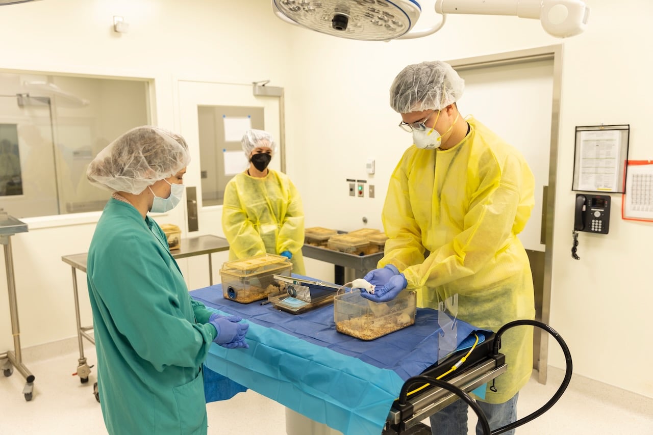 Institutional Change for Refined Mouse Handling - The 3Rs Collaborative Institutional Change for Refined Mouse Handling - The 3Rs Collaborative